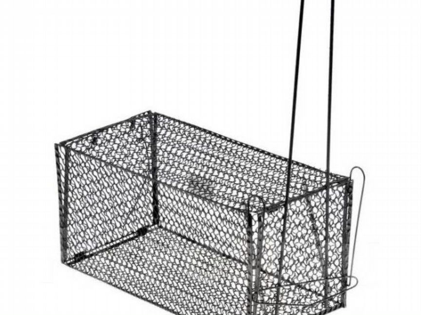 Клетка для отлова