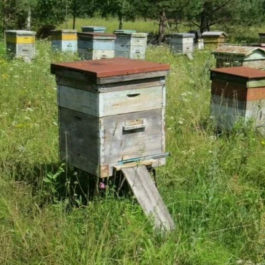 Продам ульи для пчел бу