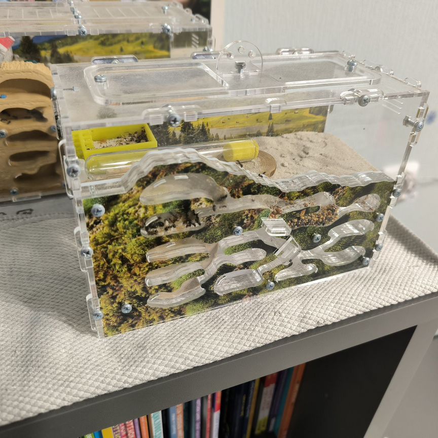 Муравьиная ферма вертикальная