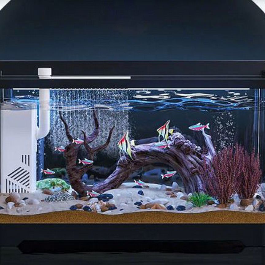 Аквариум новый