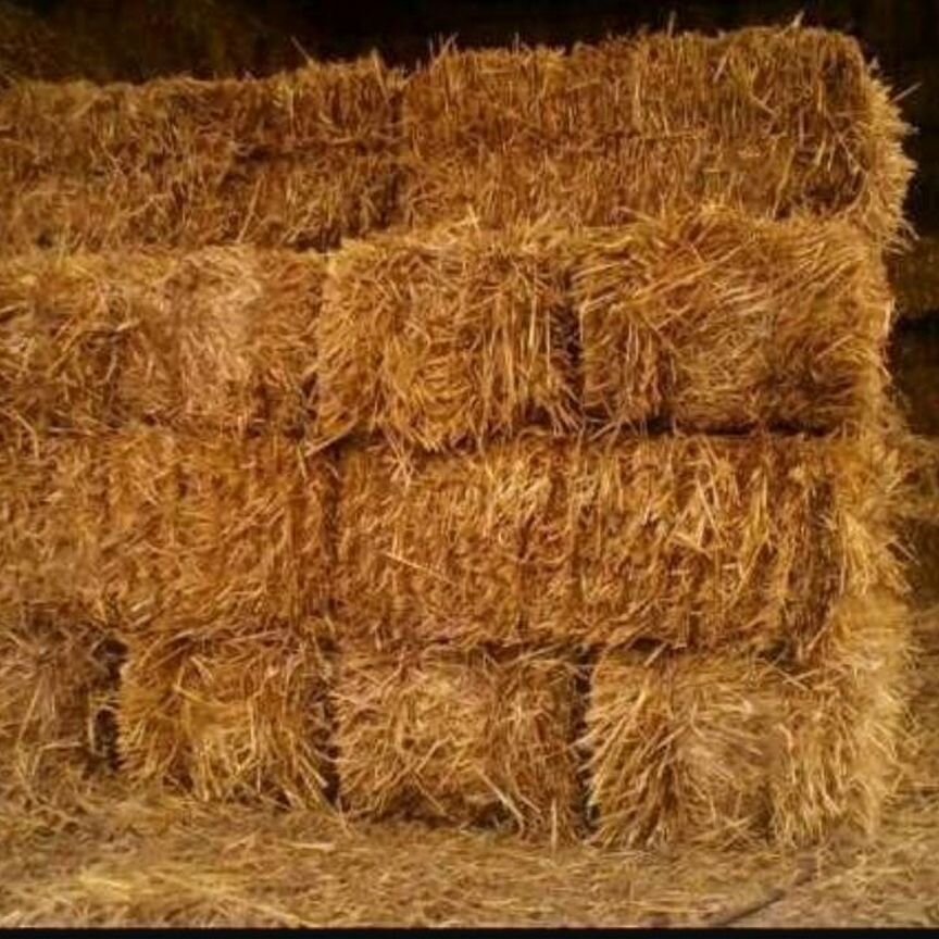 Солома в тюках