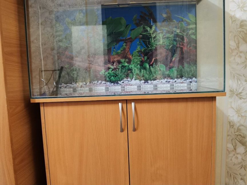 Аквариум с тумбой и подсветкой