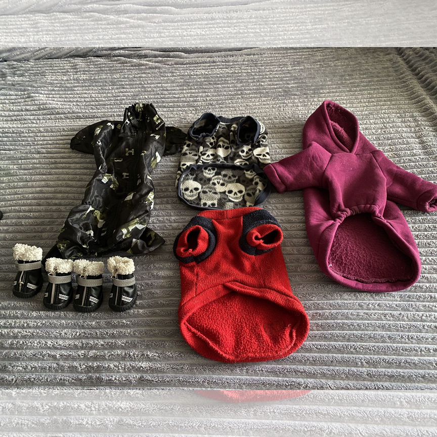 Толстовка для собак мелких пород, жилетки