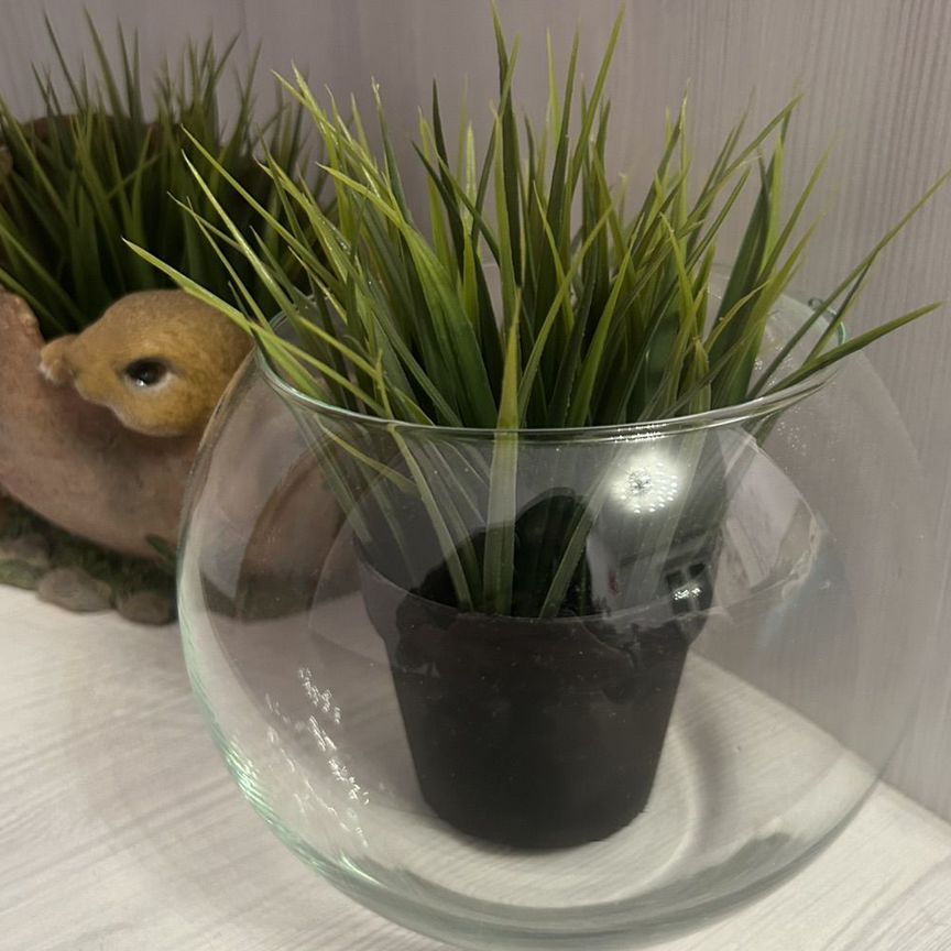 Круглый аквариум 3 литра