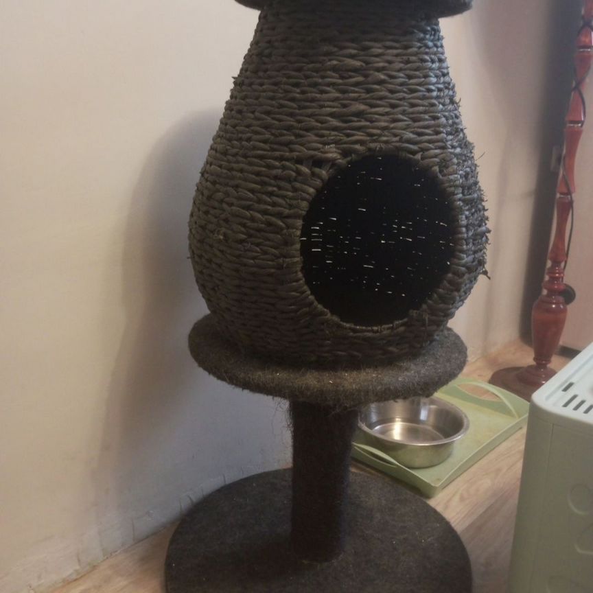 Кошачий домик