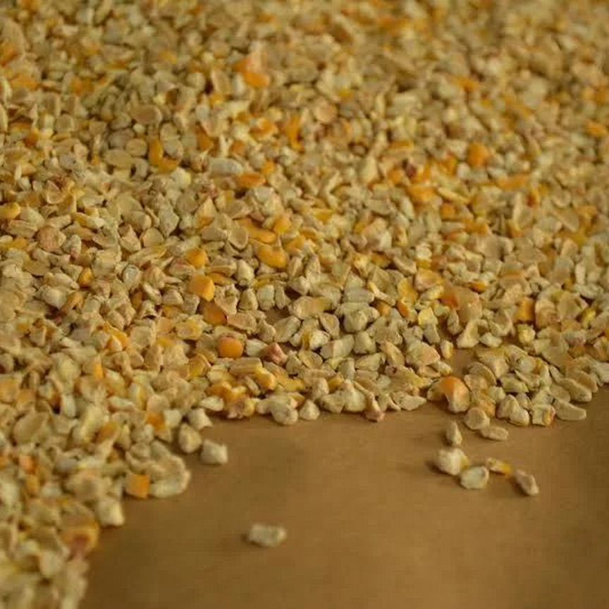 Кукуруза в гранулах