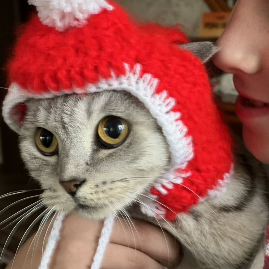 Шапочка для собак
