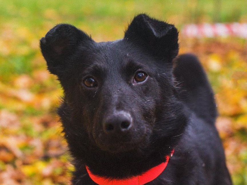 Барри хочет домой