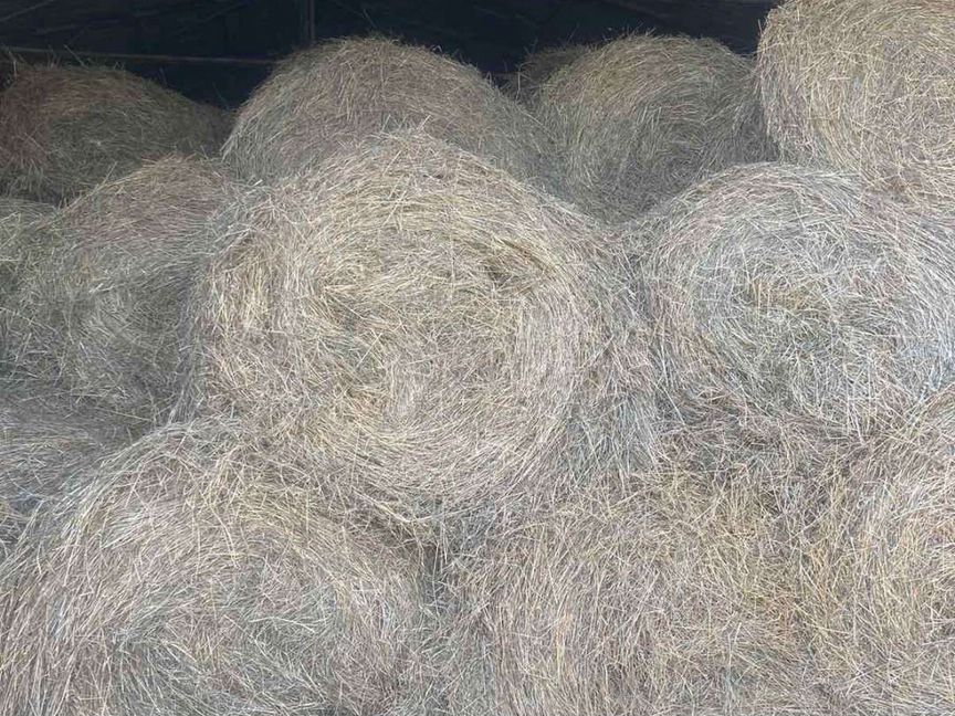 Сено, картошка, овес, пшеница