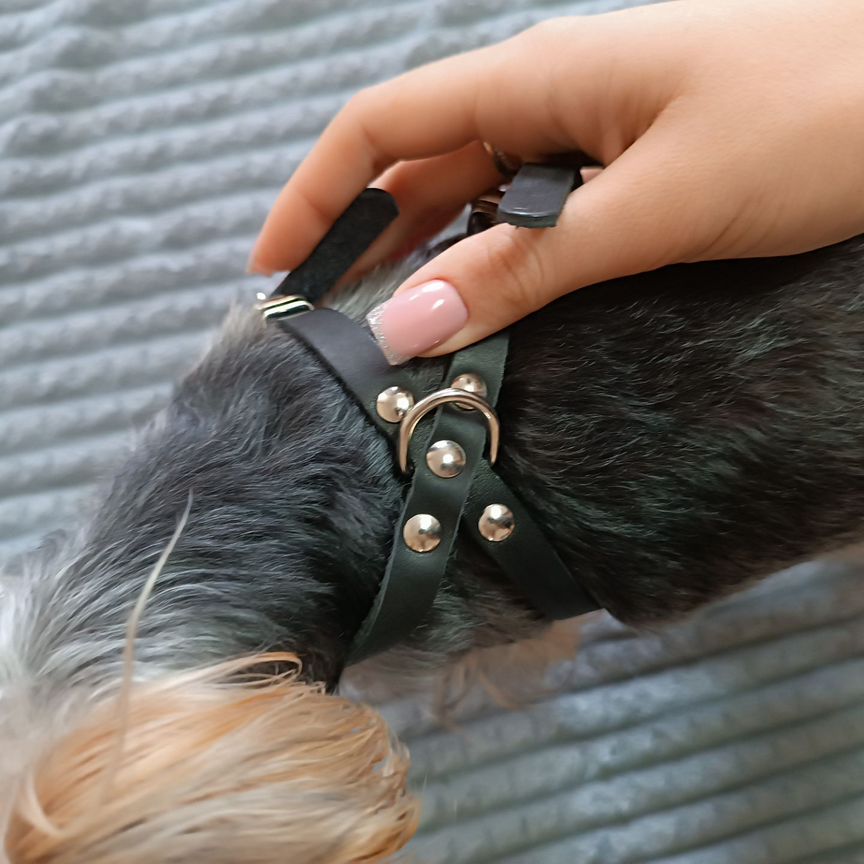 Шлейка кожанная