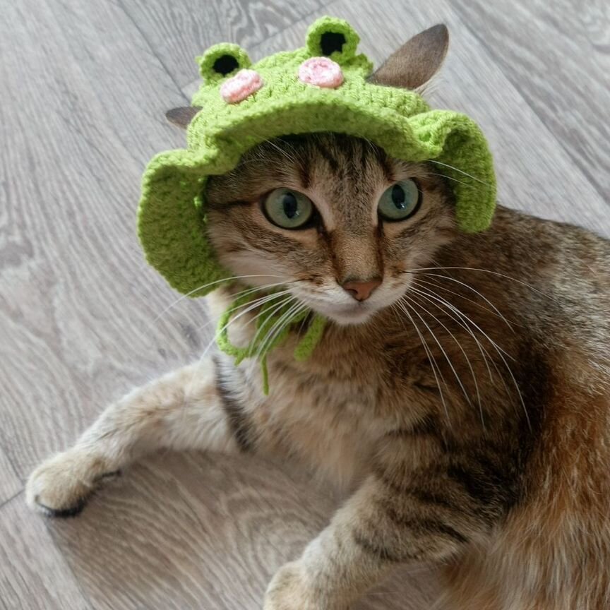 Шапка для кошек и собак