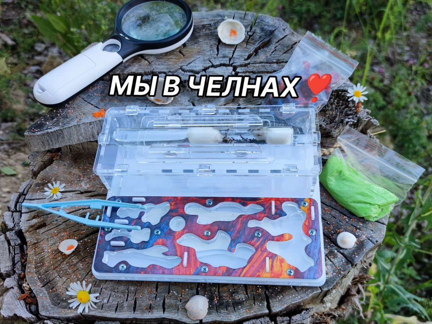 Муравьиная ферма (в Челнах) полный комплект