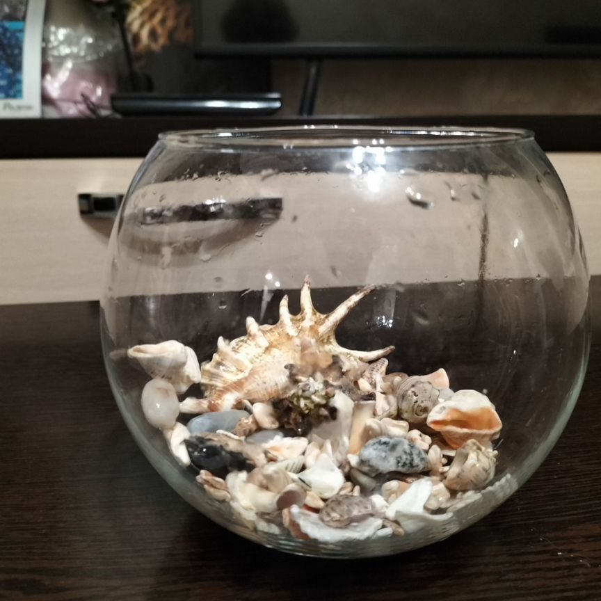 Аквариум для рыбок маленький