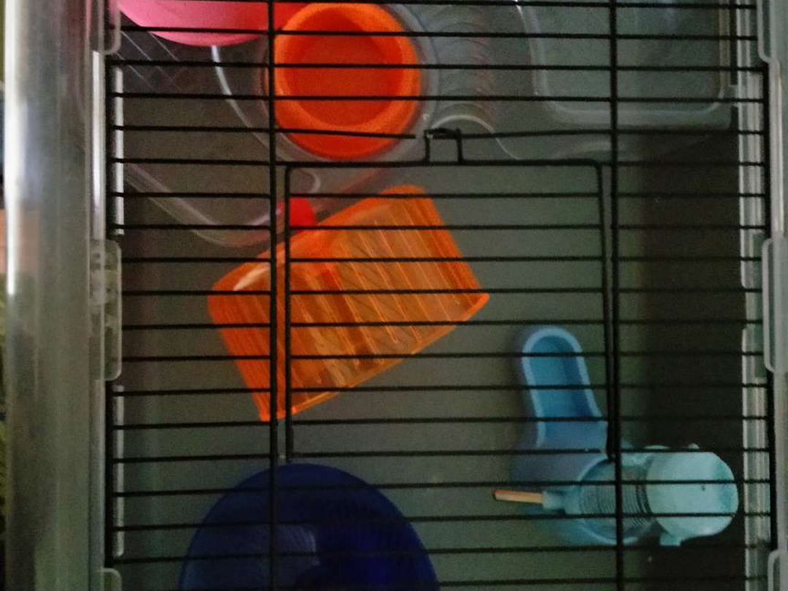 Клетка для грызунов и предметы