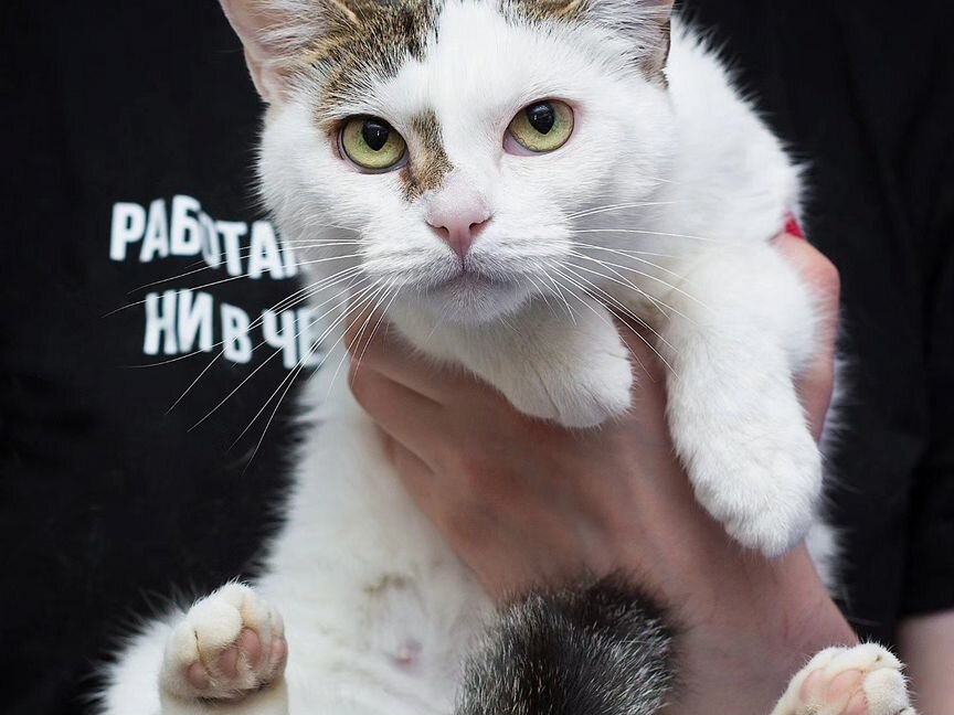 Тришу никто не замечает