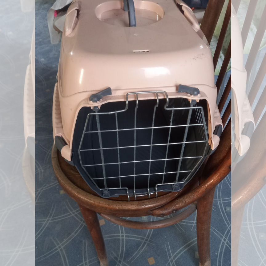 Переноска для кошек пластиковая