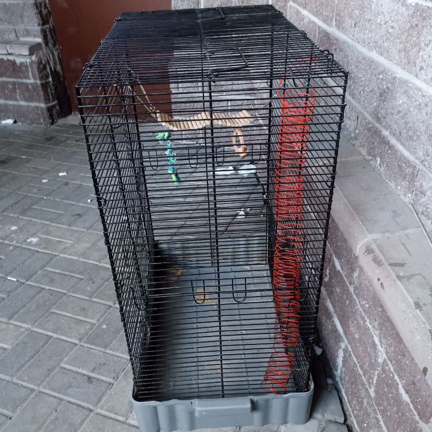 Клетка для попугая