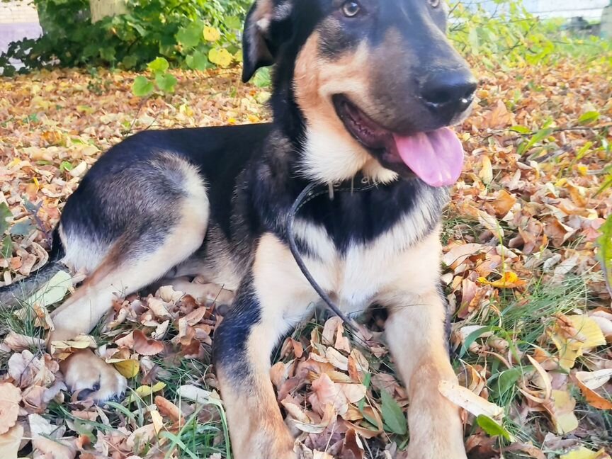 Спасаем мальчика всем миром