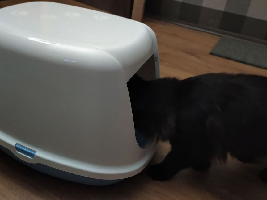 Кошачий лоток закрытый