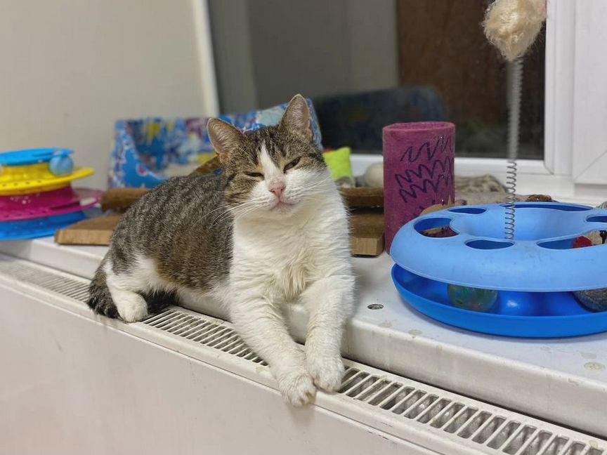 Никто не любит