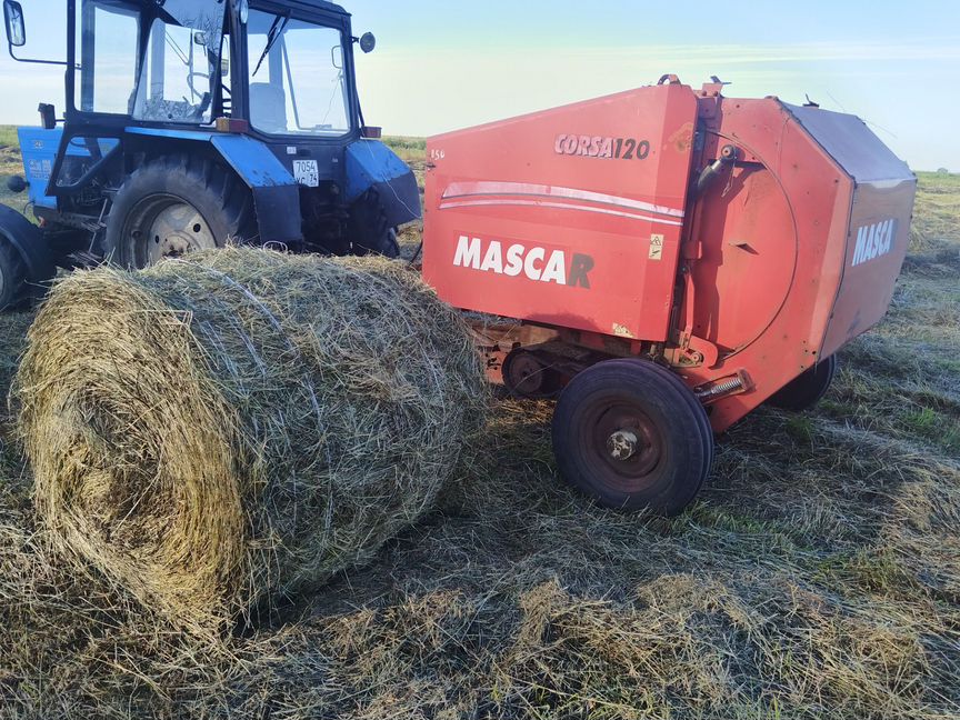 Продам сено в рулонах