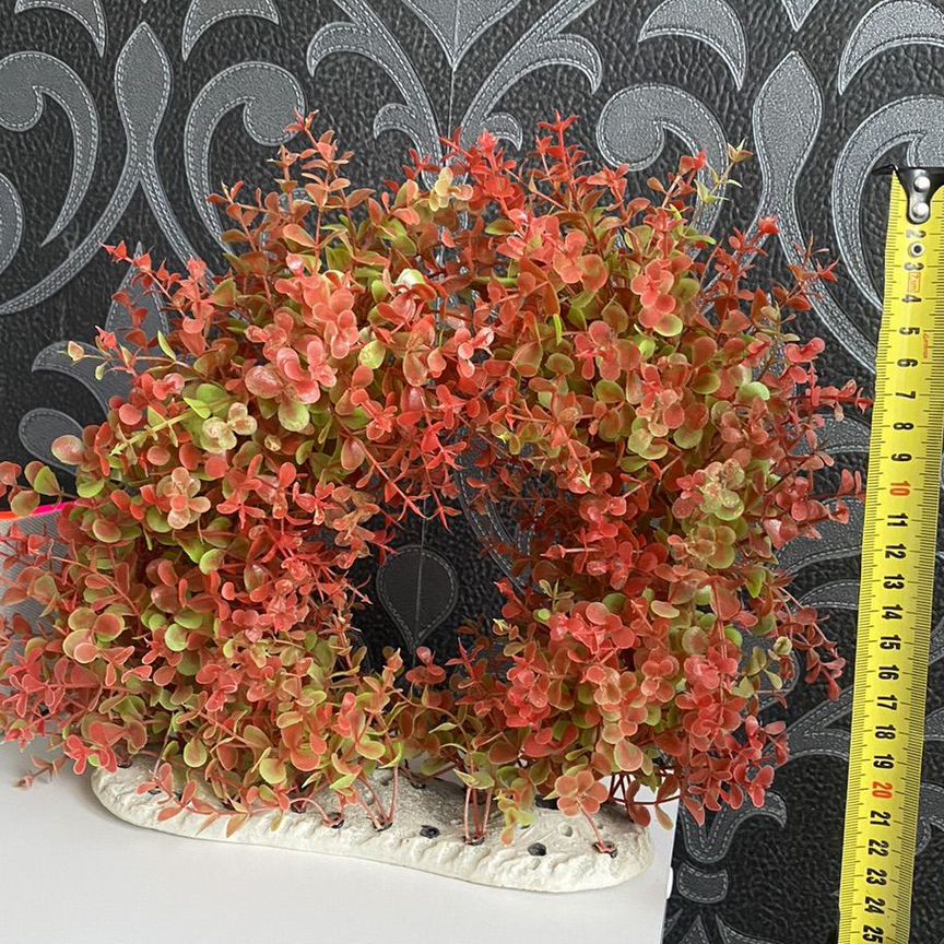 Декор для аквариума бу