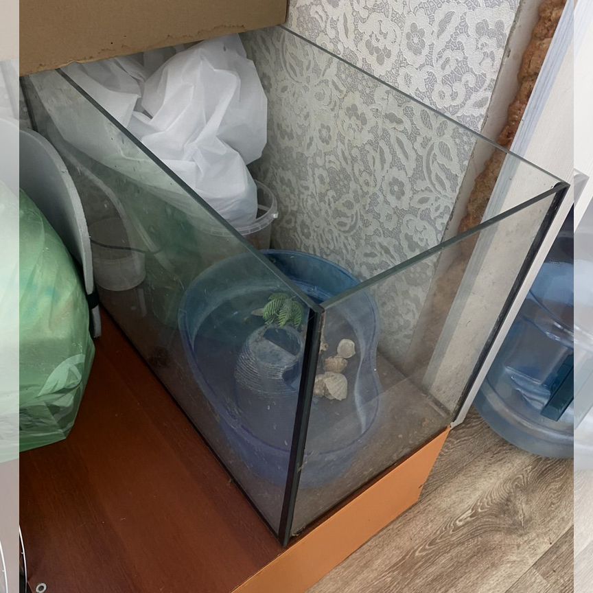 Аквариум для красноухой черепахи