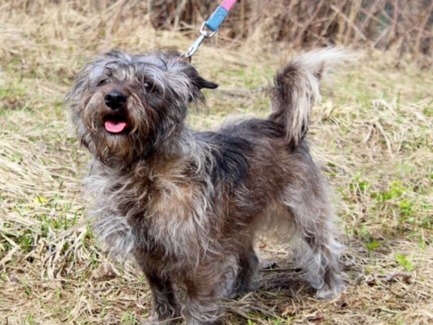 Маленькая Масяня