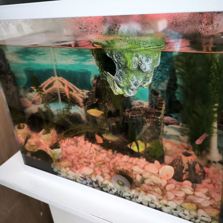 Продаётся аквариум 20 полностью автоматизирован