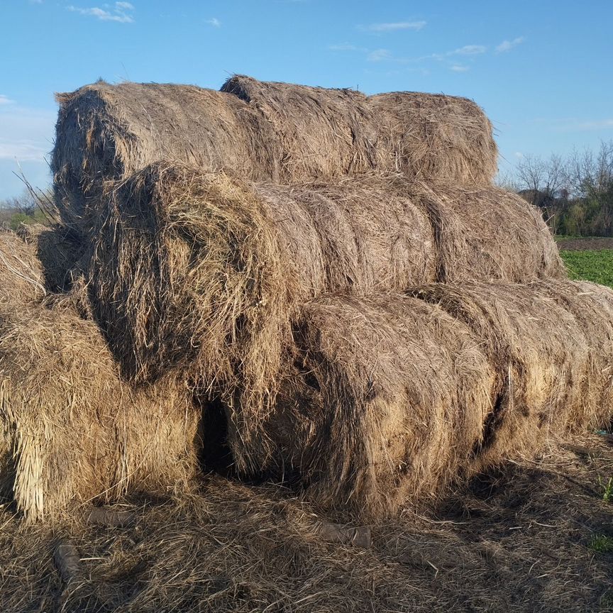 Сено в рулонах