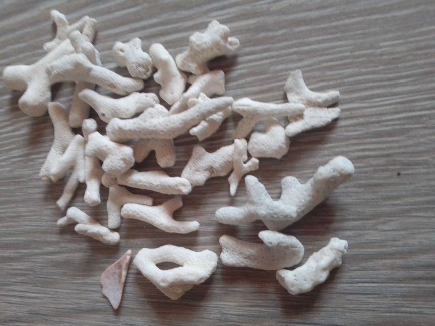 Кораллы натуральные морские