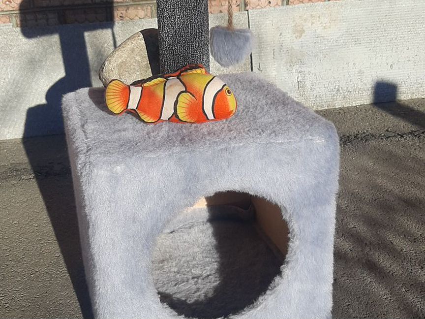 Кошкин домик