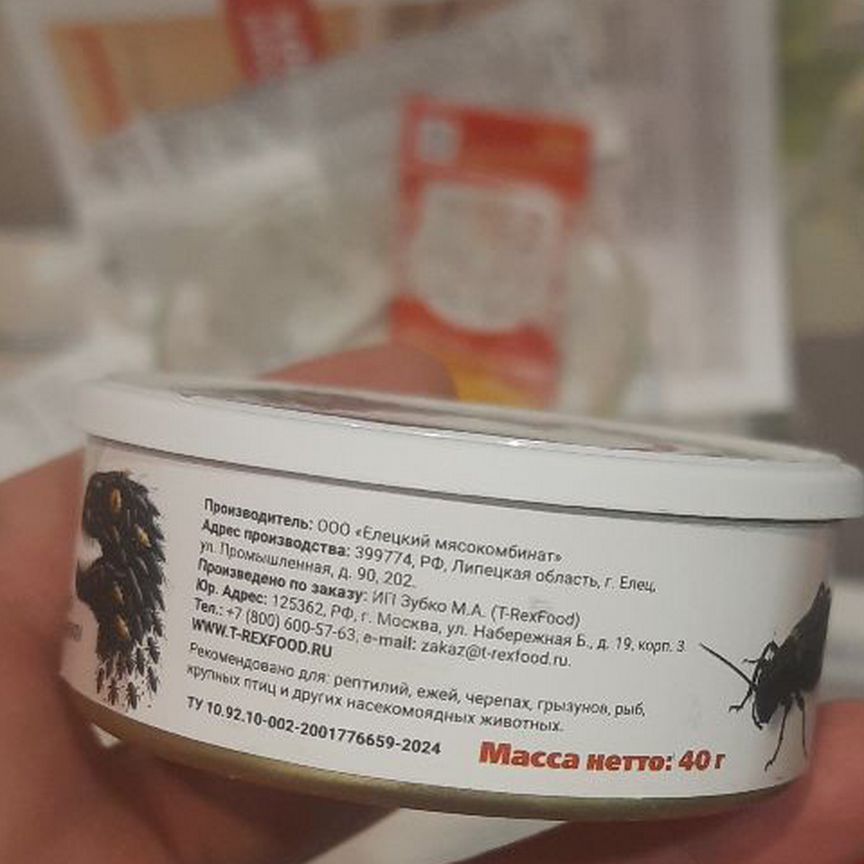 Сверчки маринованные