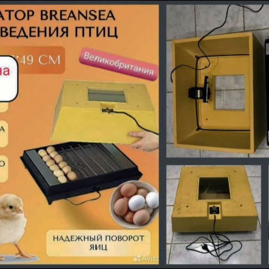 Инкубатор Brinsea Hatchmaster A