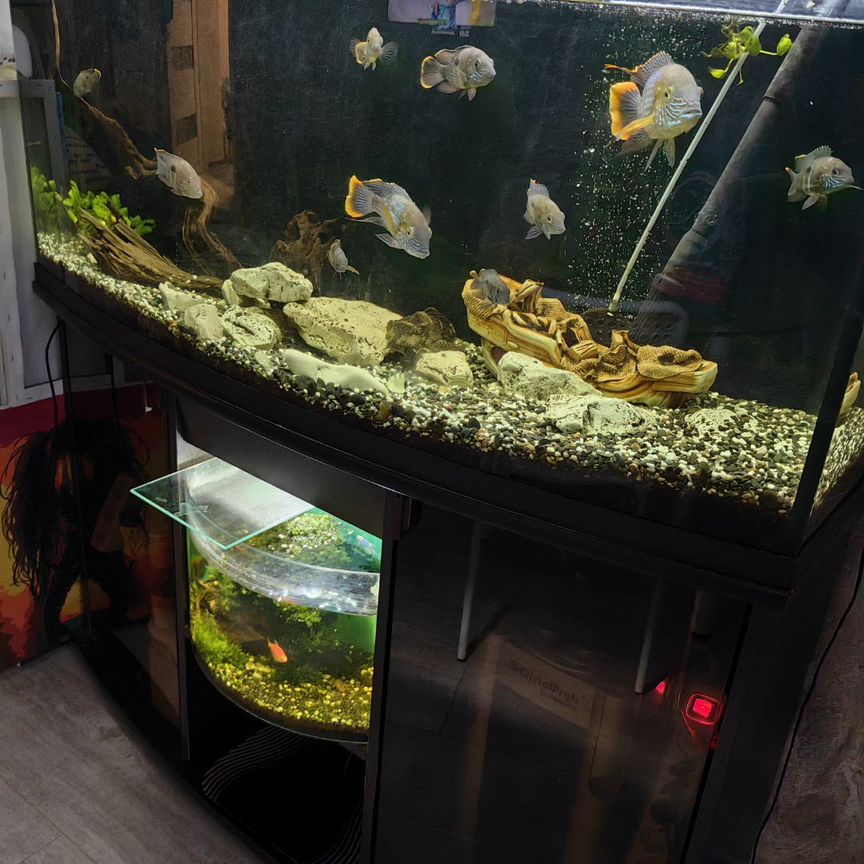 Аквариум с тумбой 240л