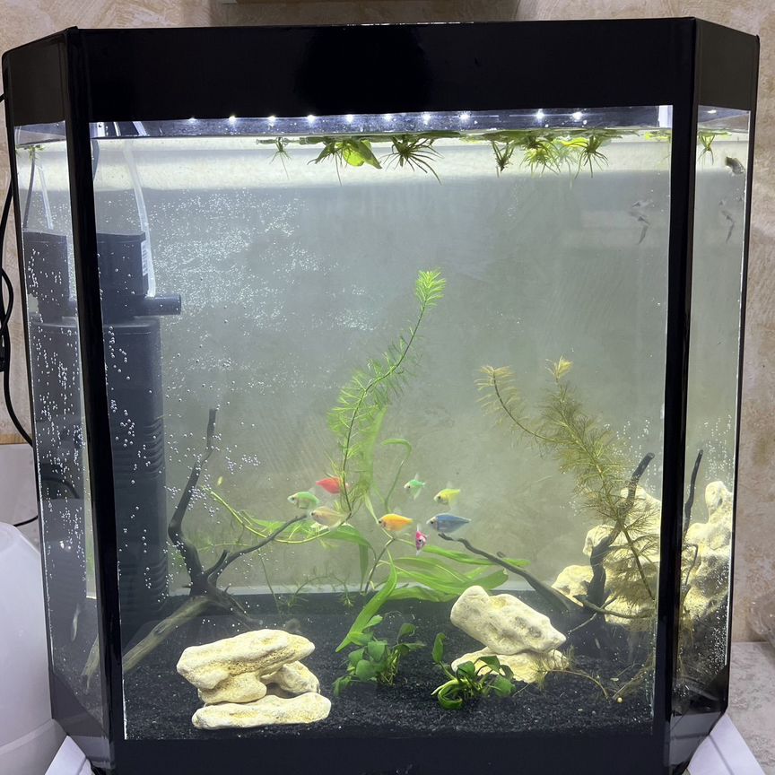 Аквариум с рыбками