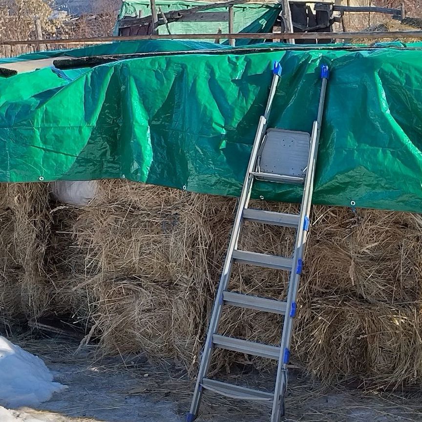 Тюкованное сено