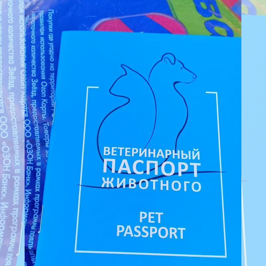 Такса, щенок