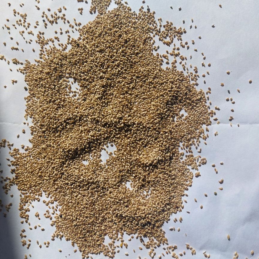 Тимофеевка