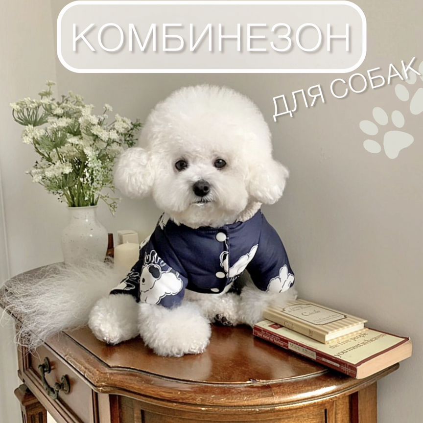 Костюм для собак (синий)