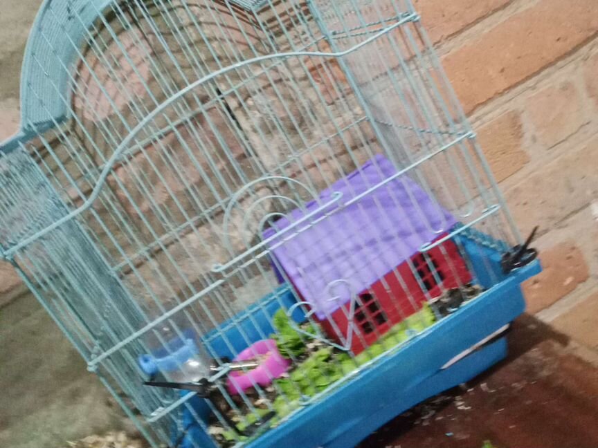 Клетка для грызунов