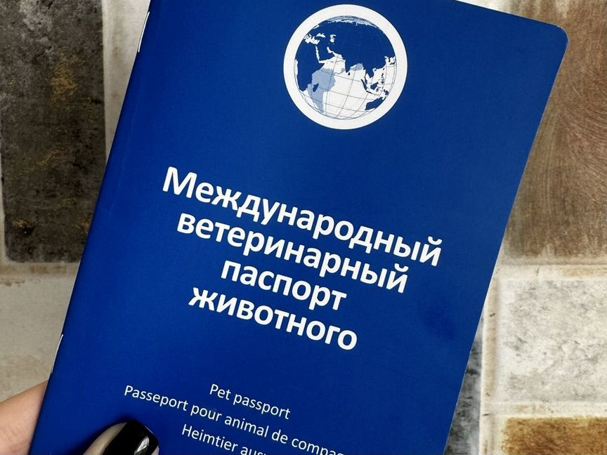 Ветеринарный паспорт