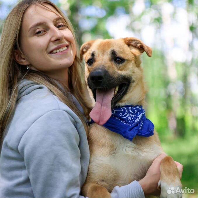 Малыш Батлер ждёт семью в приюте