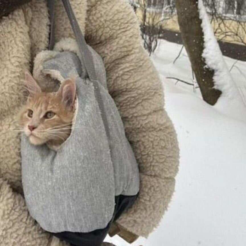 Сумка переноска для маленьких собак и кошек