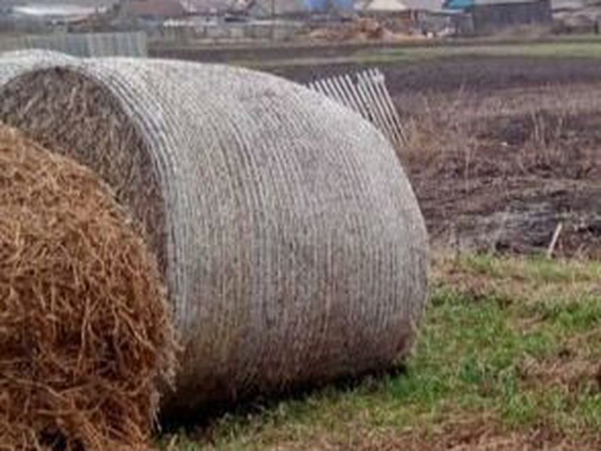 Солома гороховая в тюках