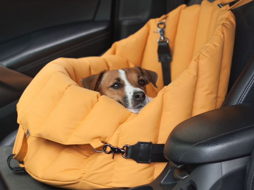 Автокресло для собак Горчица