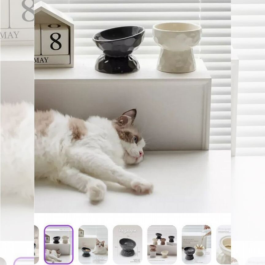 Чашка для кошки