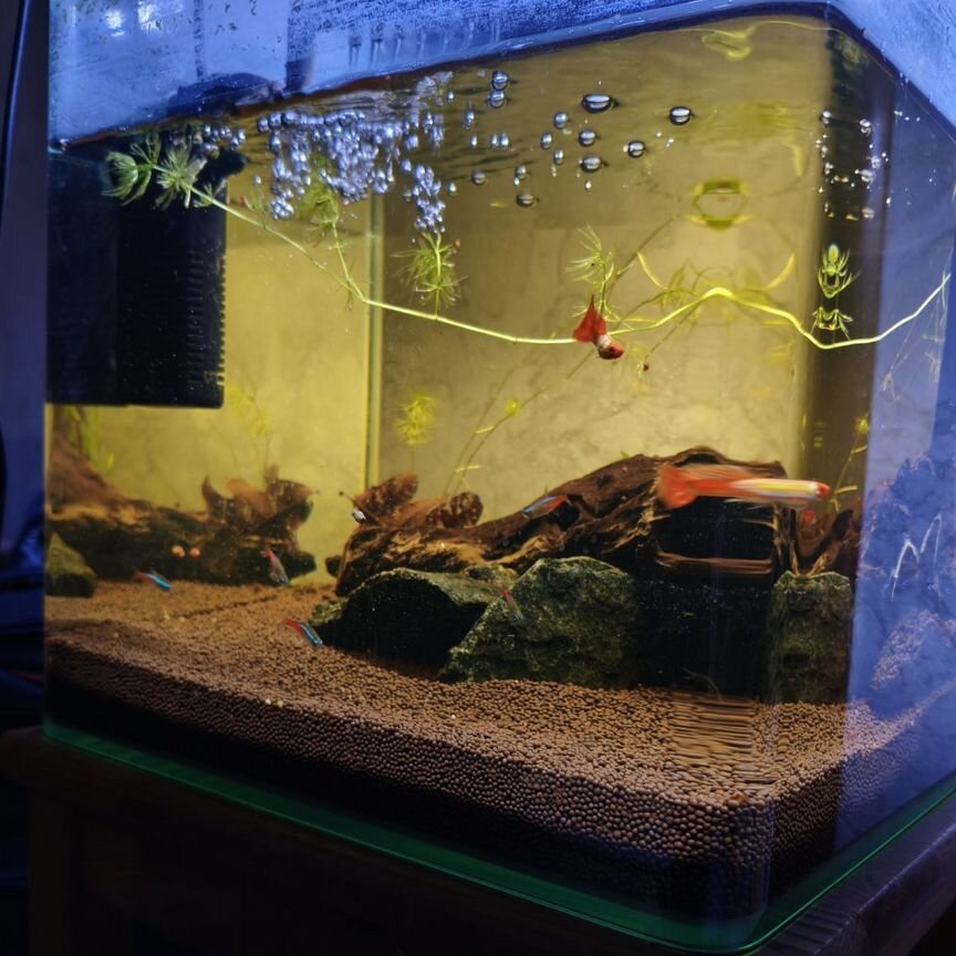 Аквариум обмен 30л