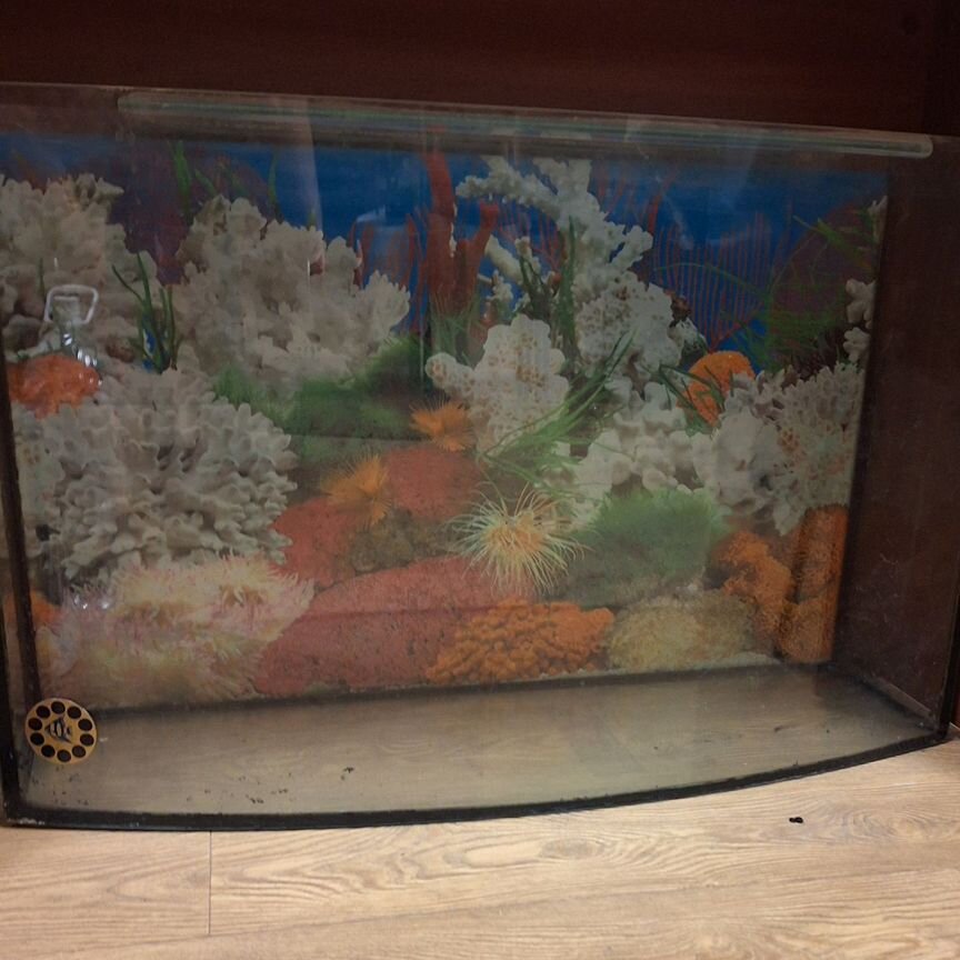 Аквариум 100 литров