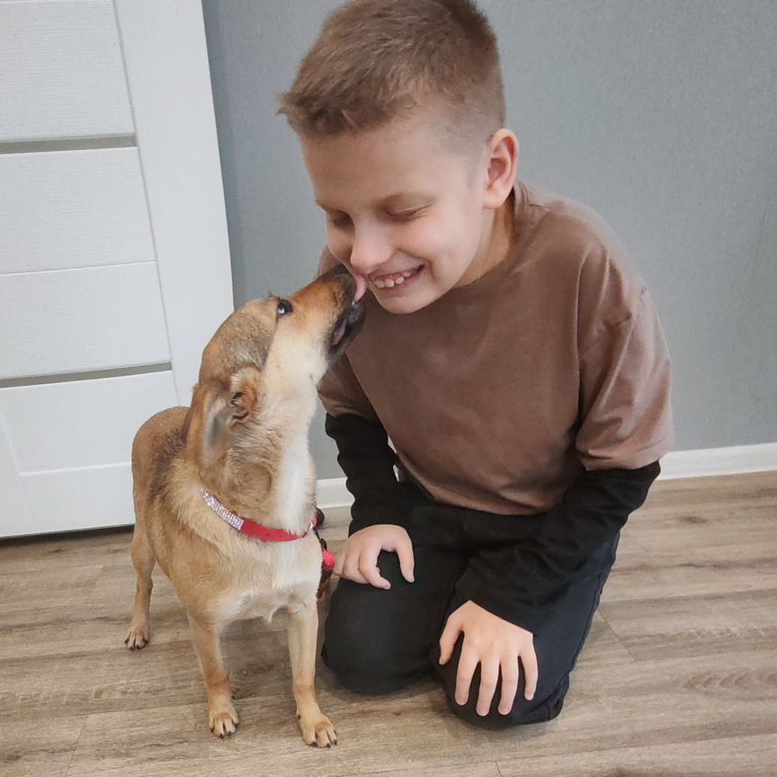 Щенок в добрые руки